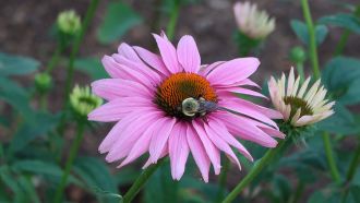 Events & Programs | Wright Memorial Public Library